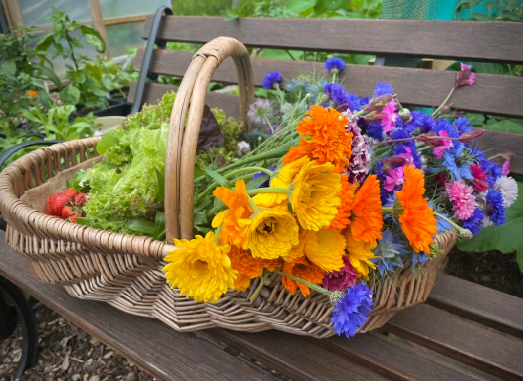 Bishy Barnabee’s Cottage Garden | British Seeds, Dried Flowers & Gifts ...