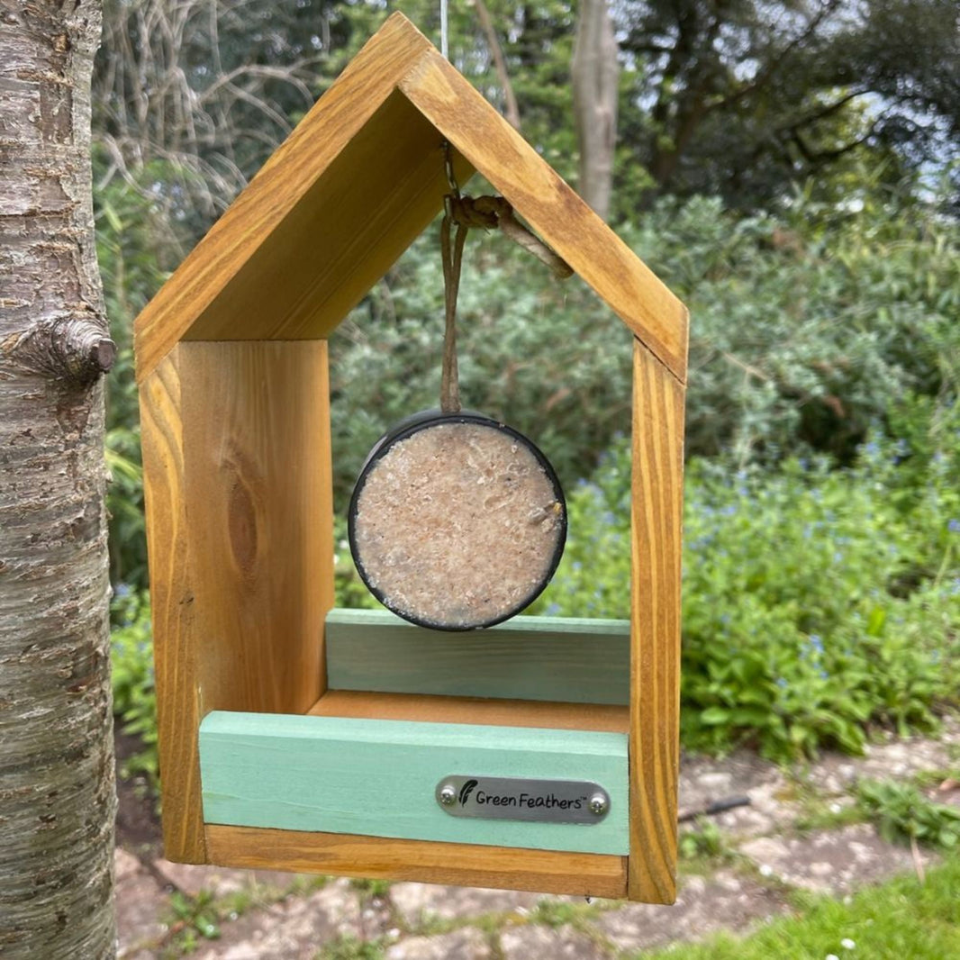 Green Feathers Bird Box and Wildlife Cameras | The Foalyard